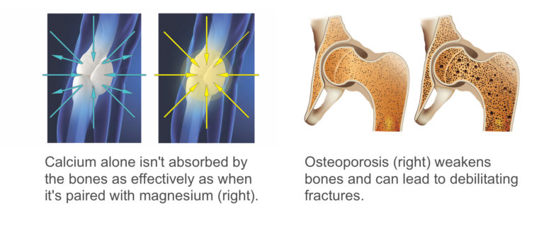 CalMax® - Calcium Gluconate Supplements With Magnesium and Vitamin C