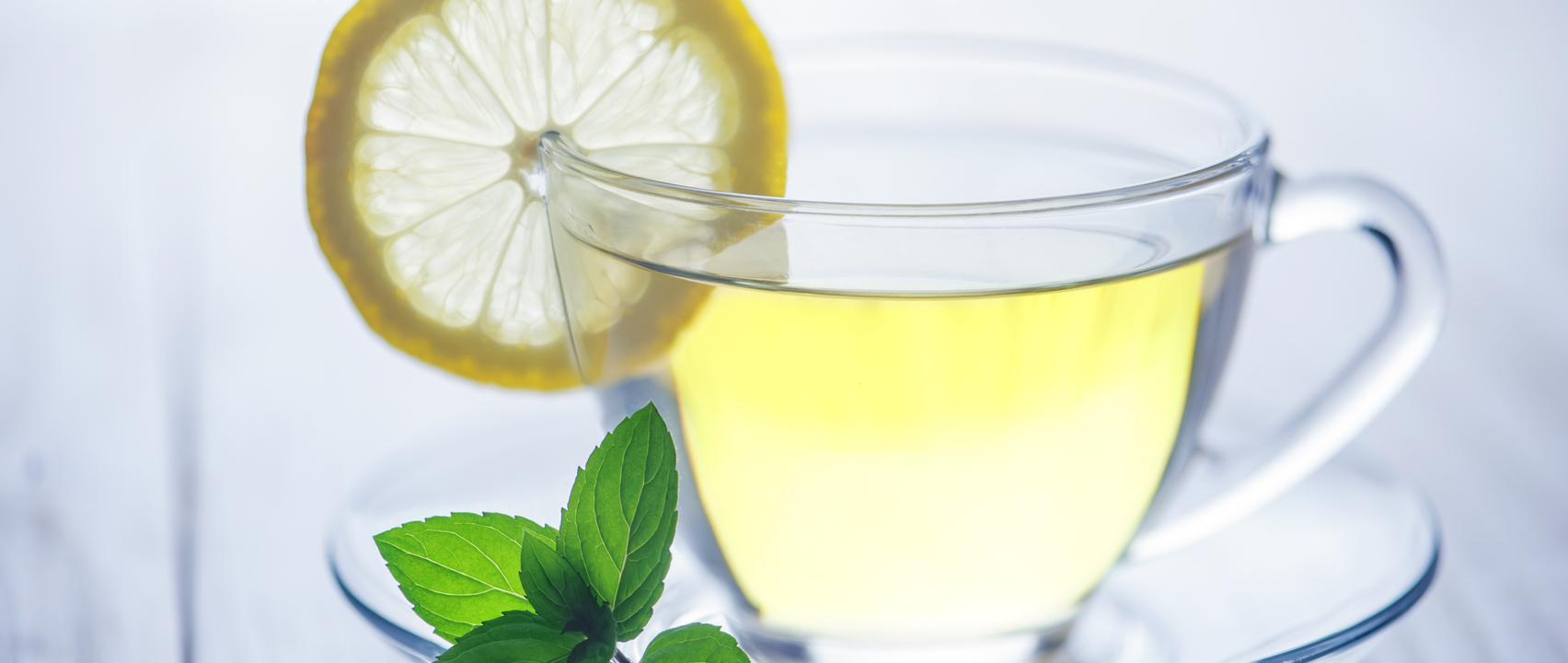 CalMax Products - Dr. Newton's Naturals